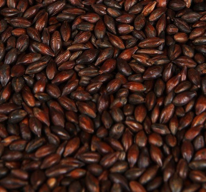 Carafa type II Special MALT, Weyermann, EBC 100 - 1200, 1 gram